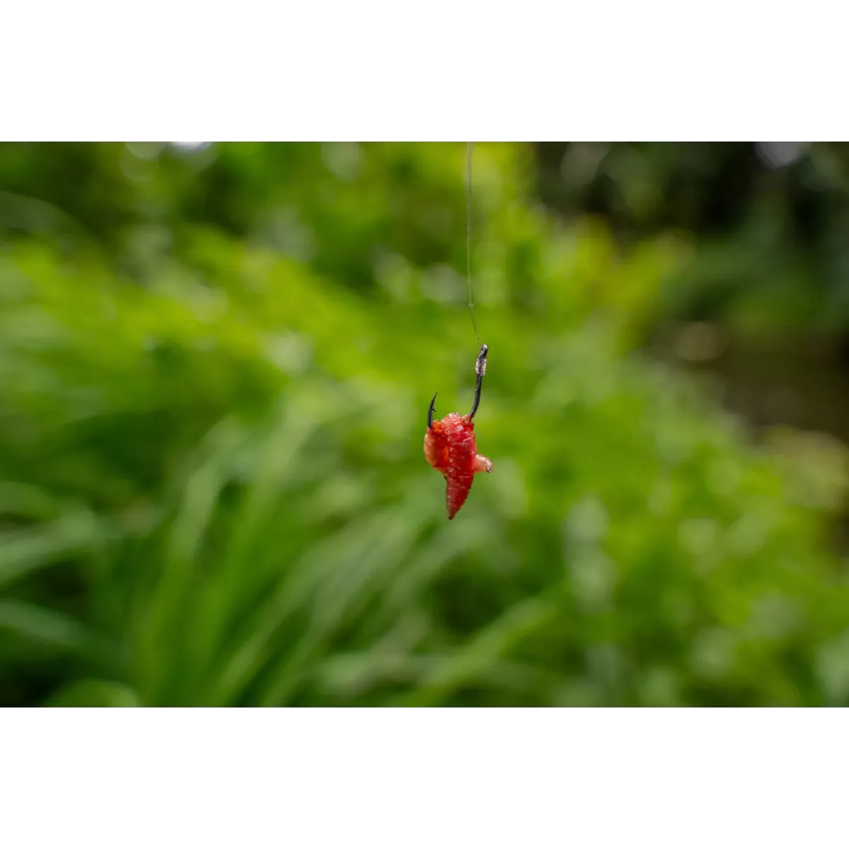 Specialist Fishing Hooks Japan Korum Xpert Fishing Hooks - Barbless ...